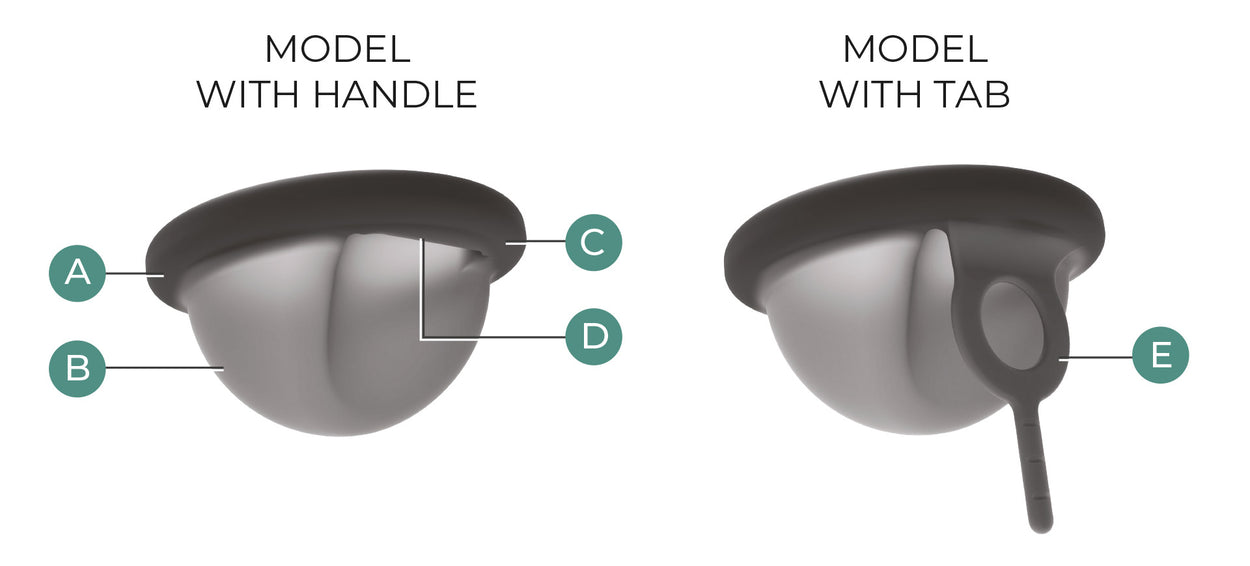 Fornix – fornix.ca
